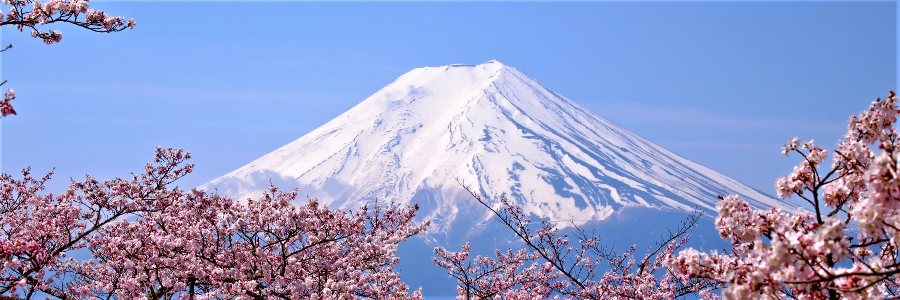 Tomato Travel | All you need for Japan